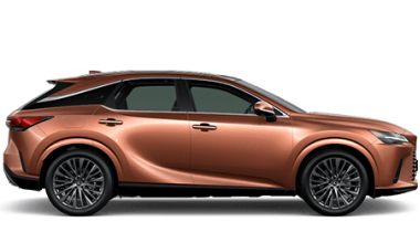 Report - VMVMV - 2022 LEXUS NX in Silver | CARJAM